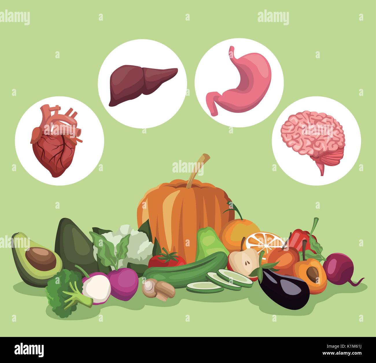 Fruit organs Stock Vector Images - Alamy