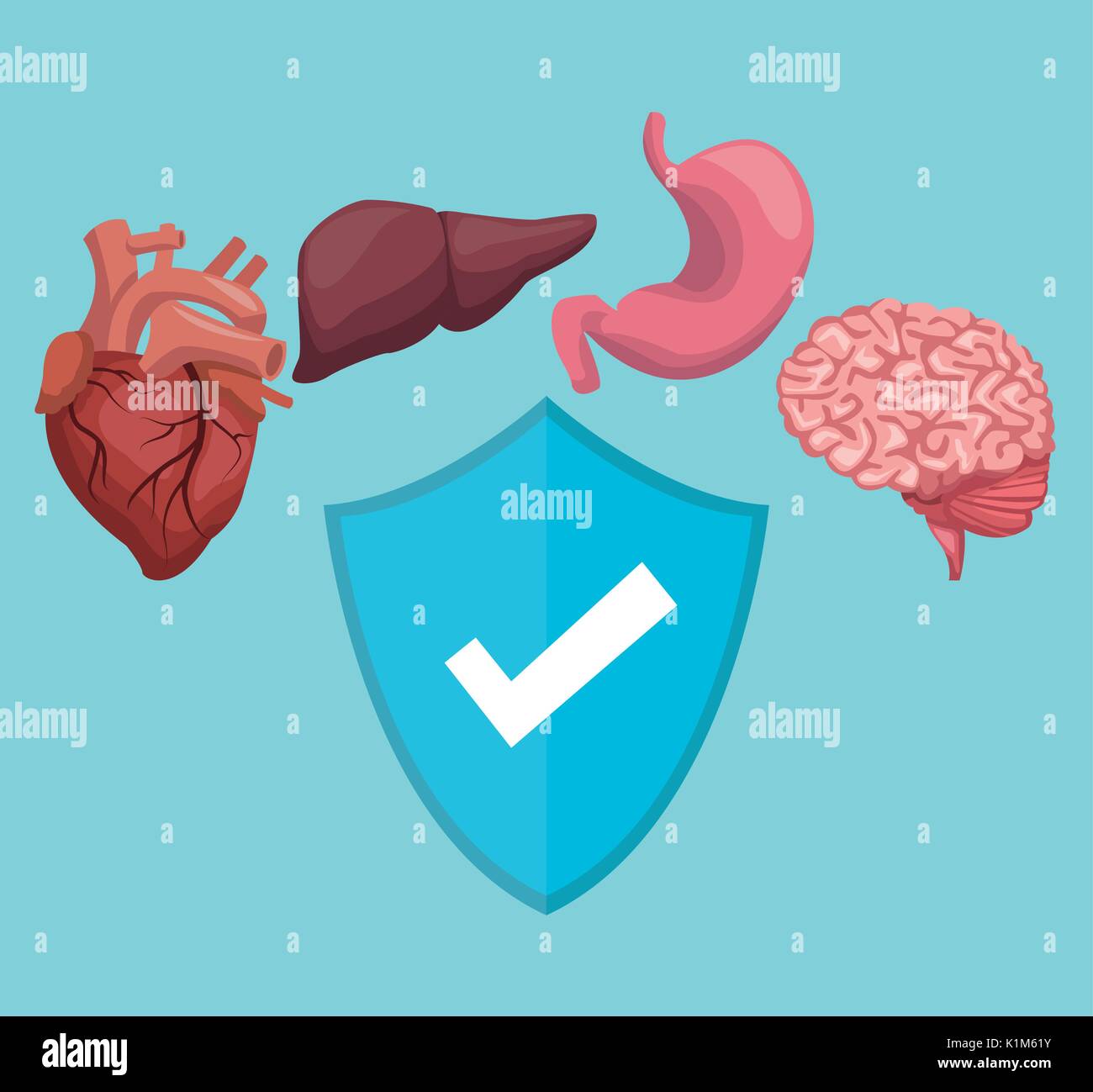 Graphic symbol icon of pancreas Stock Vector Images - Alamy