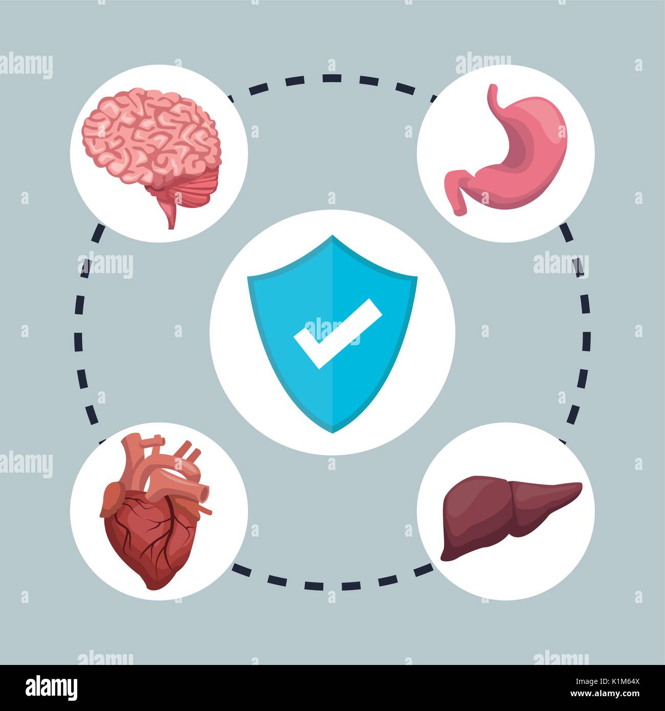 color background with circular frame shield check mark symbol and ...