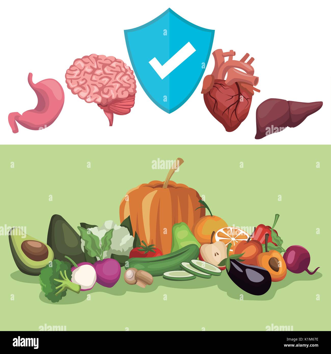 color banner poster with organs human body and shield check mark symbol ...