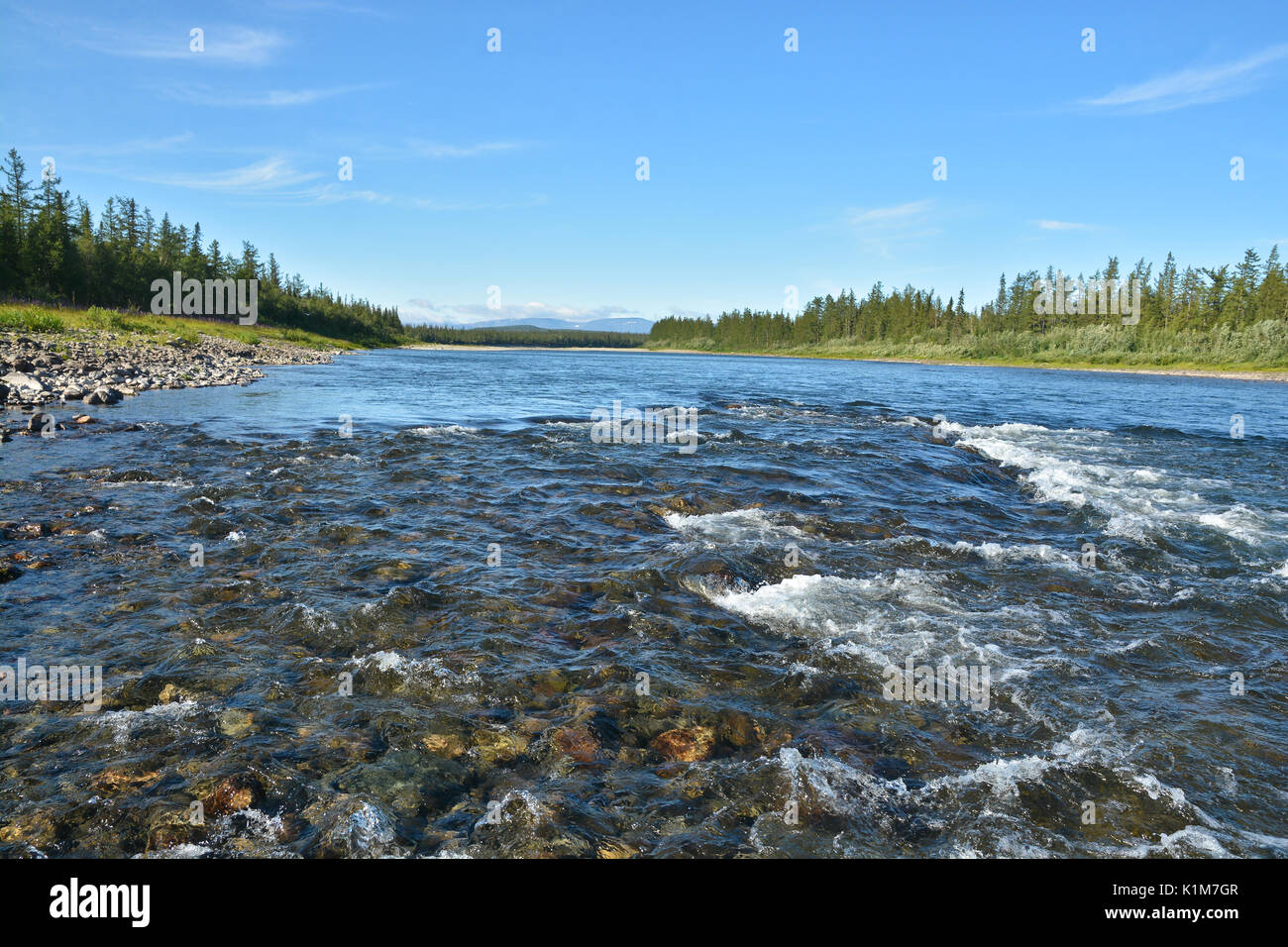 The mountain river Sob in the Polar Urals. Summer water northern ...