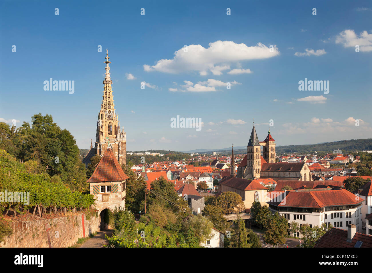 View from the vineyards of Esslingen with the town church St. Dionys ...