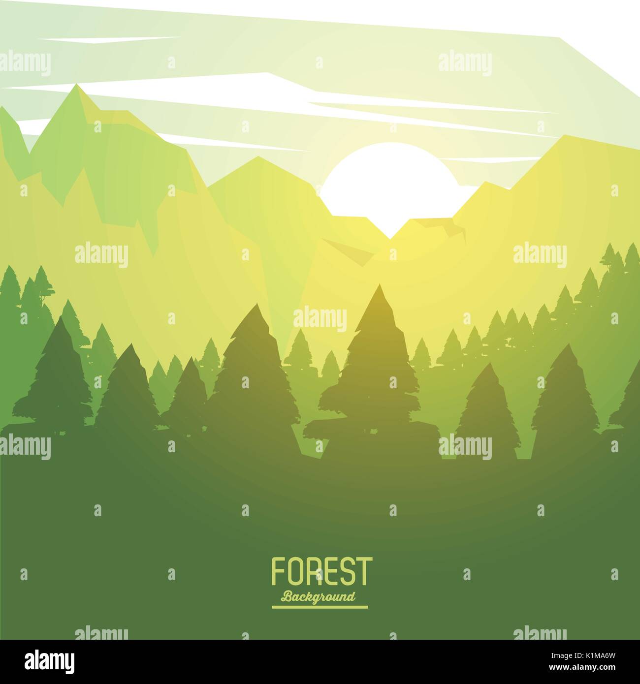 colorful poster forest background with sunrise landscape of forest with ...