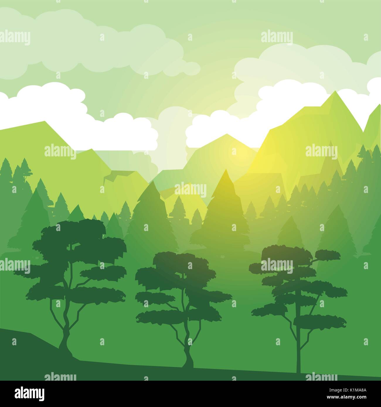 colorful background with sunrise landscape of forest with trees Stock ...