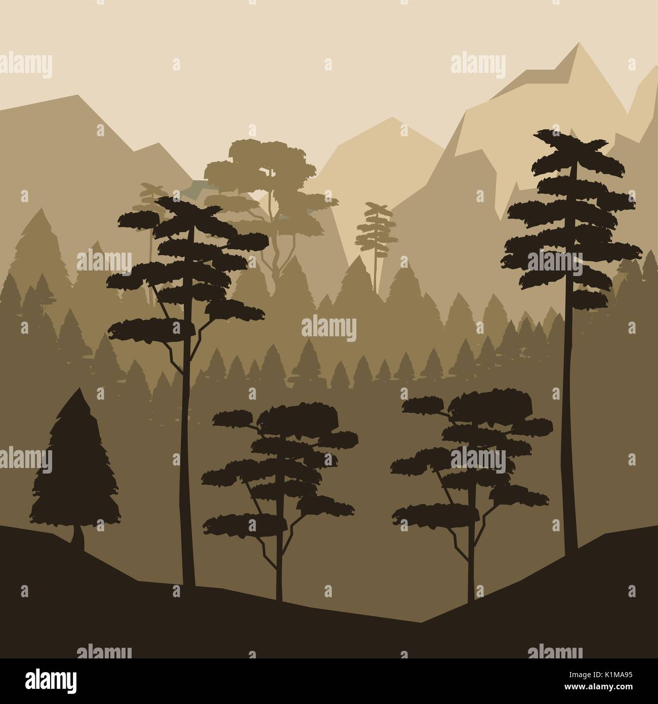 colorful background with sunset landscape of forest with trees Stock ...