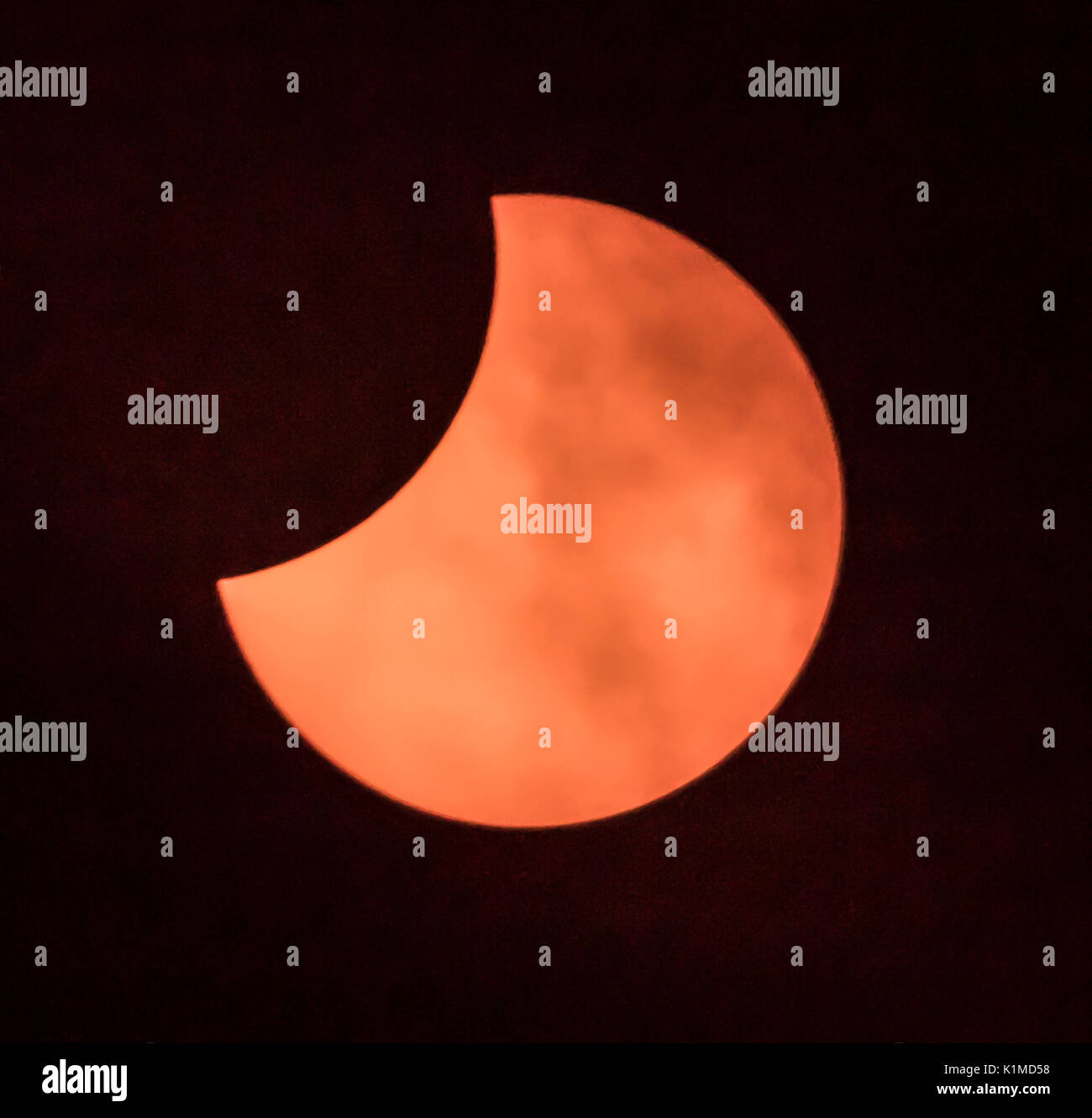 Clemson south carolina hi-res stock photography and images - Alamy