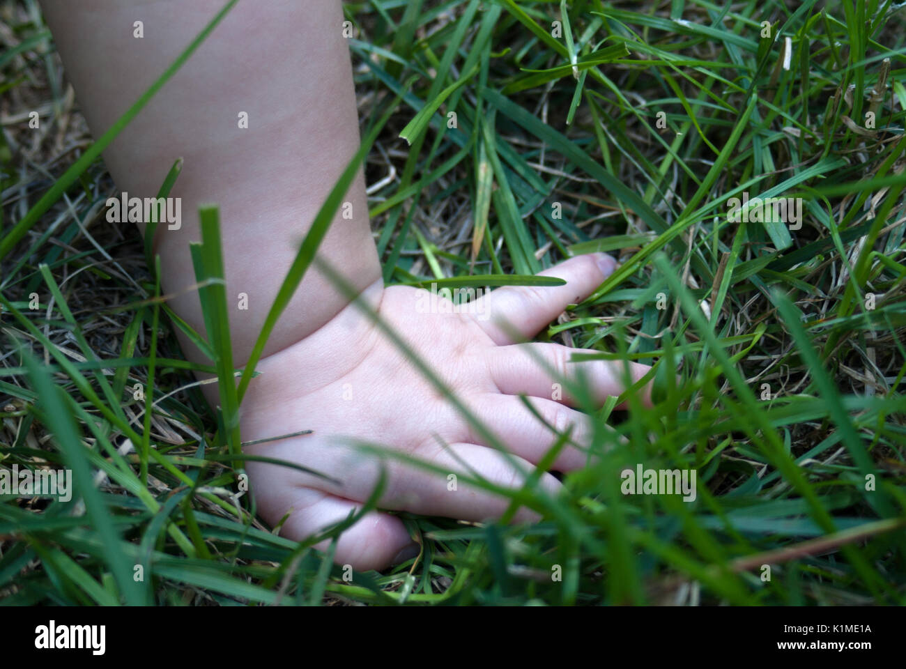 The first time the baby touched the grass Stock Photo - Alamy