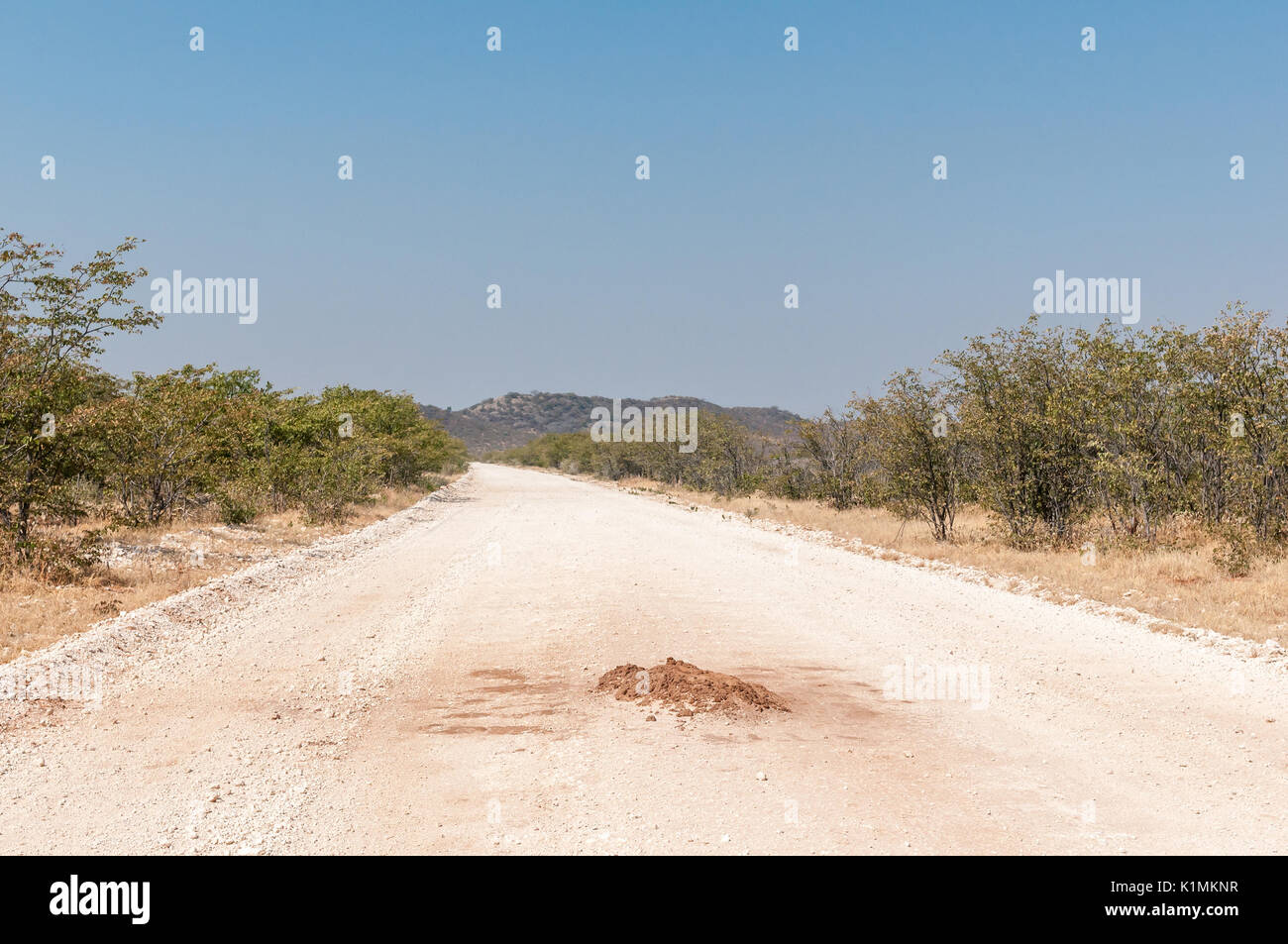 An anthill in the middle of a road in North-Western Namibia Stock Photo ...