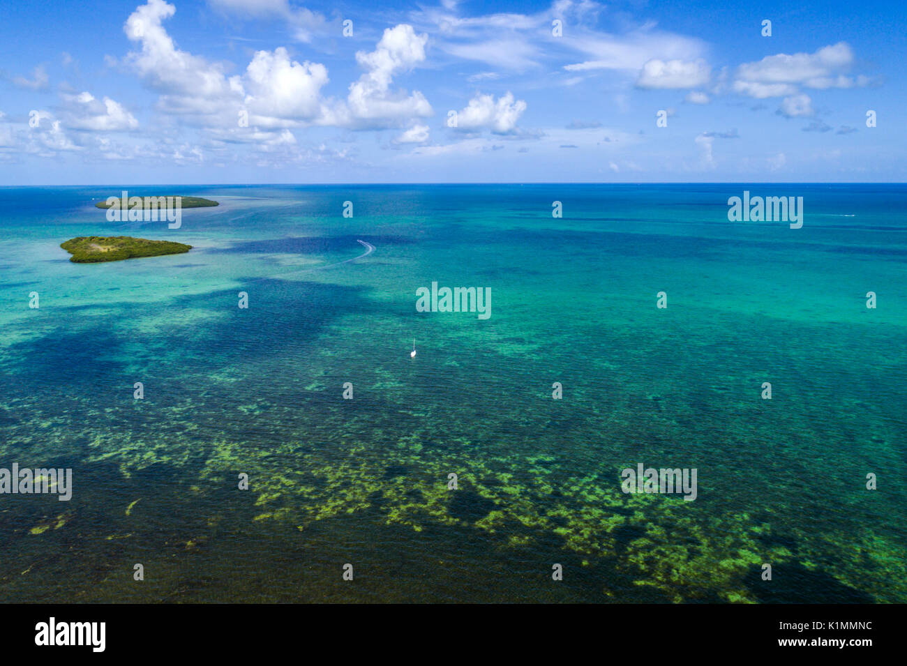 Florida,Florida Keys,Upper,Key Largo,Atlantic Ocean,Dove Key,Rodriquez ...