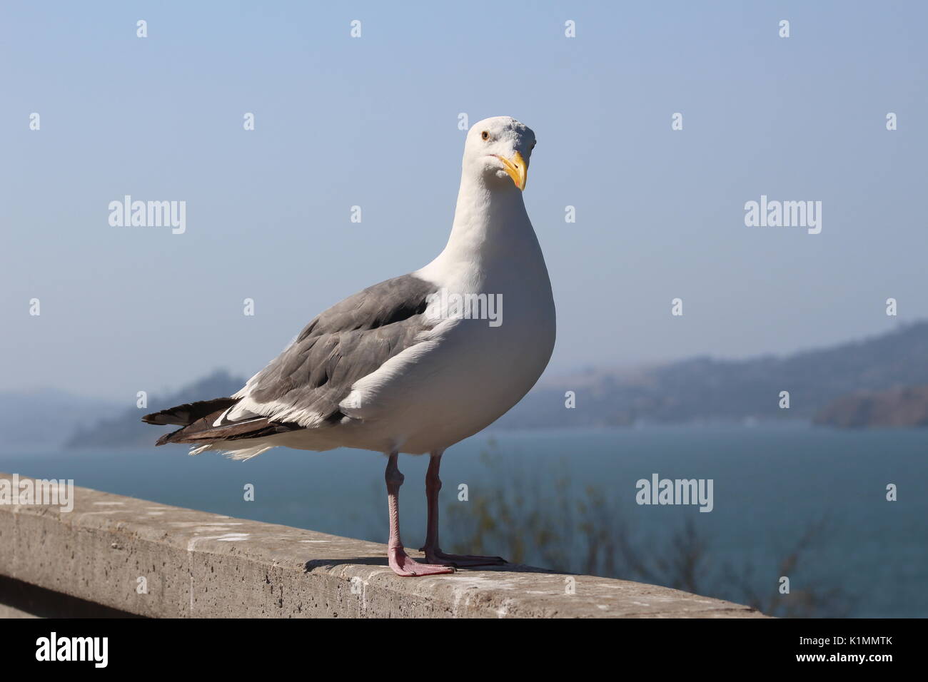 Strong sea wall hi-res stock photography and images - Alamy
