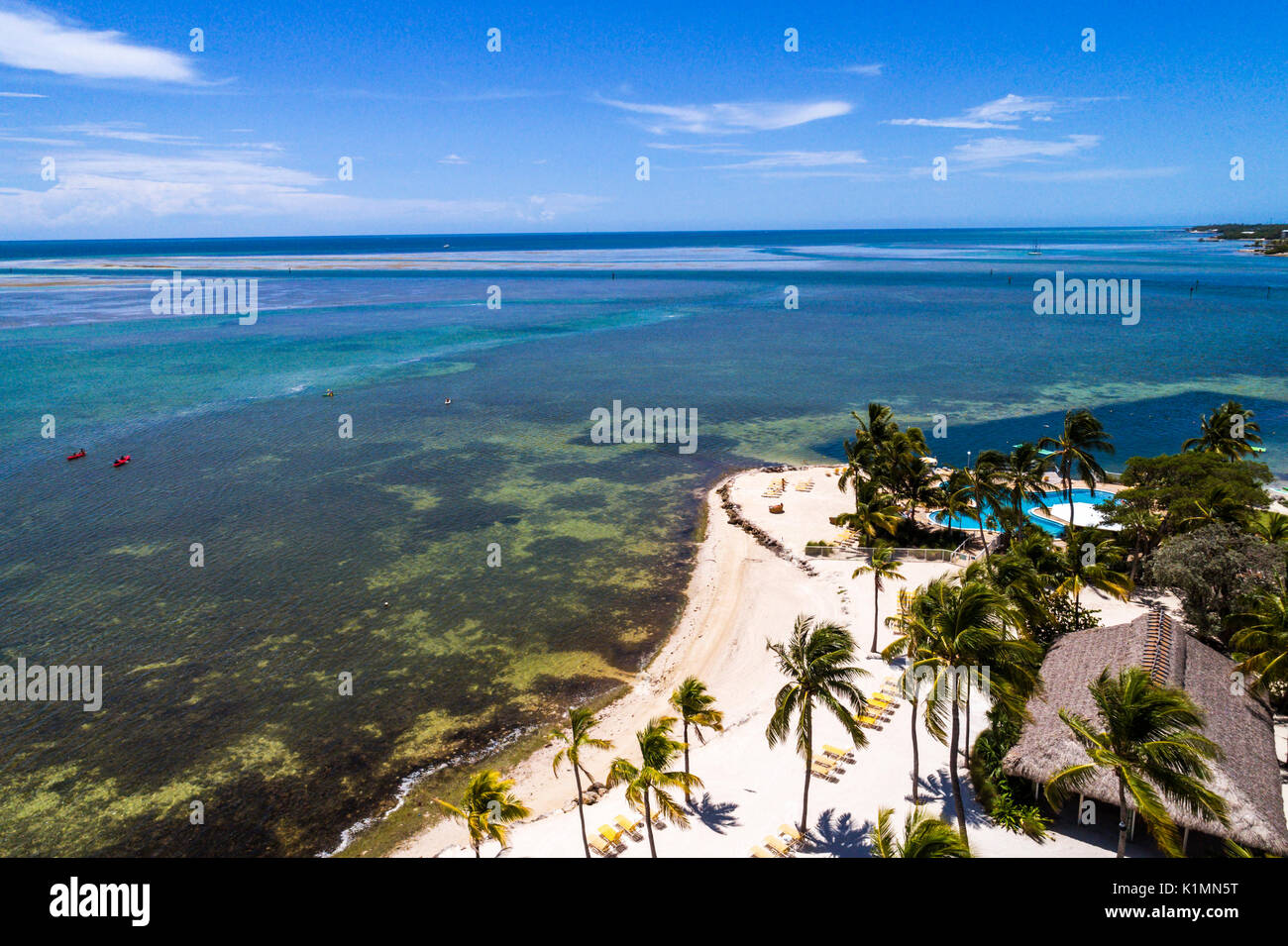 Florida,Florida Keys,Upper,Islamorada,Whale Harbor,Atlantic Ocean water ...