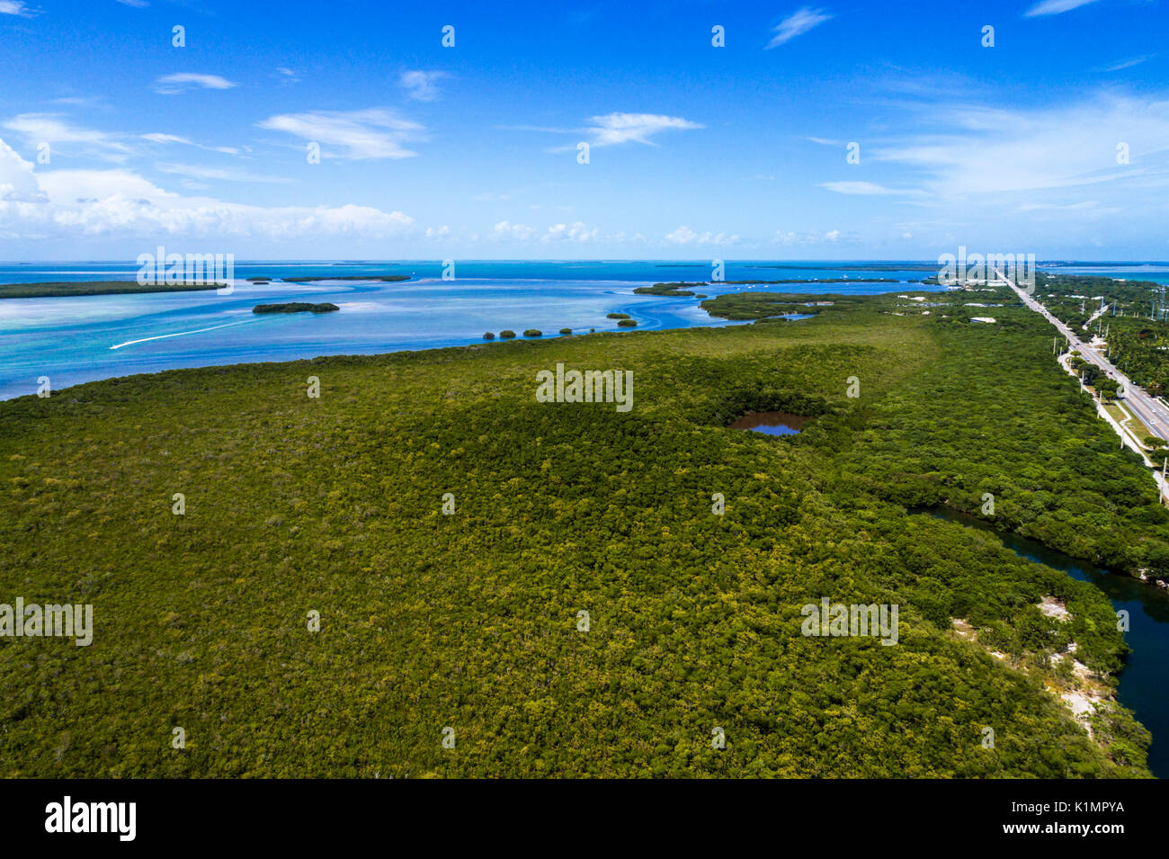 Yellow shark channel hi-res stock photography and images - Alamy