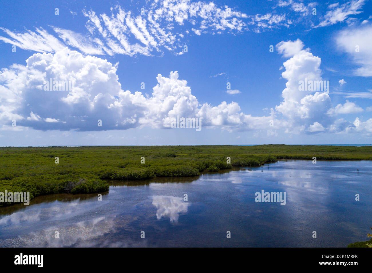 Florida,Florida Keys,Upper,Key Largo,South Creek,John Pennekamp Coral ...