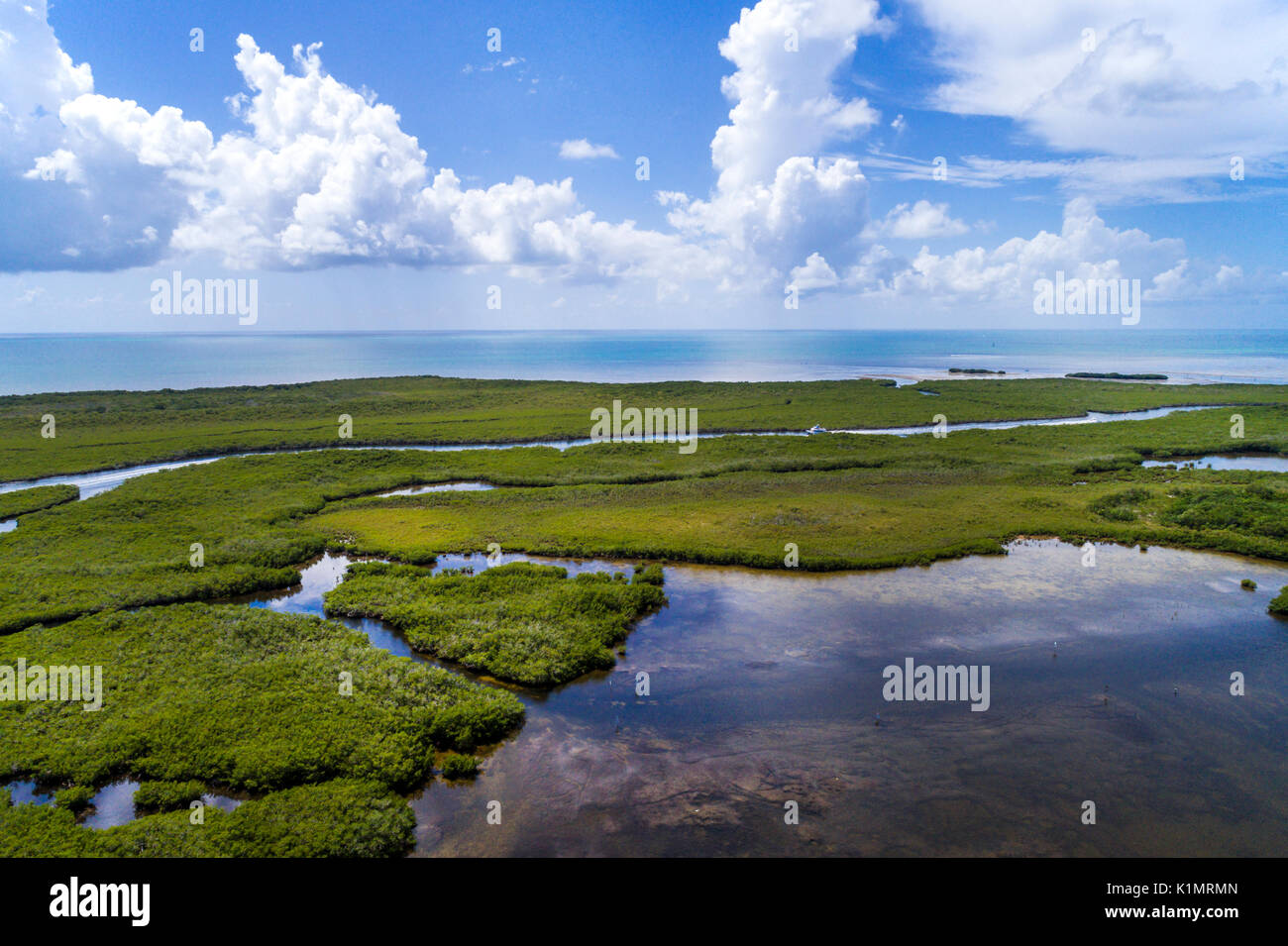 Florida,Florida Keys,Upper,Key Largo,South Creek,John Pennekamp Coral ...