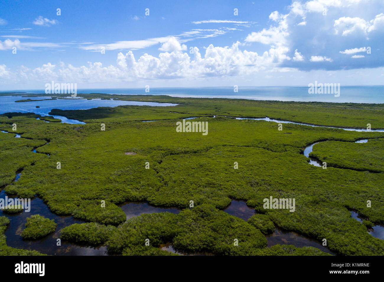Florida,Florida Keys,Upper,Key Largo,South Creek,John Pennekamp Coral ...