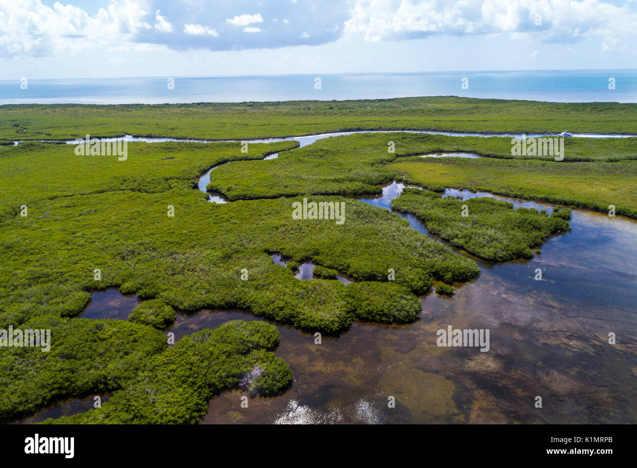 Florida,Florida Keys,Upper,Key Largo,South Creek,John Pennekamp Coral ...
