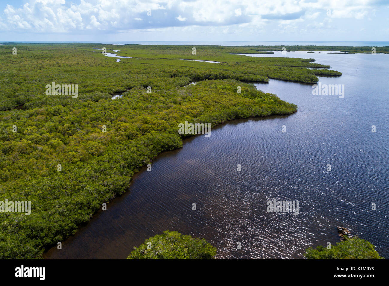 Florida,Florida Keys,Upper,Key Largo,Largo Sound,John Pennekamp Coral ...