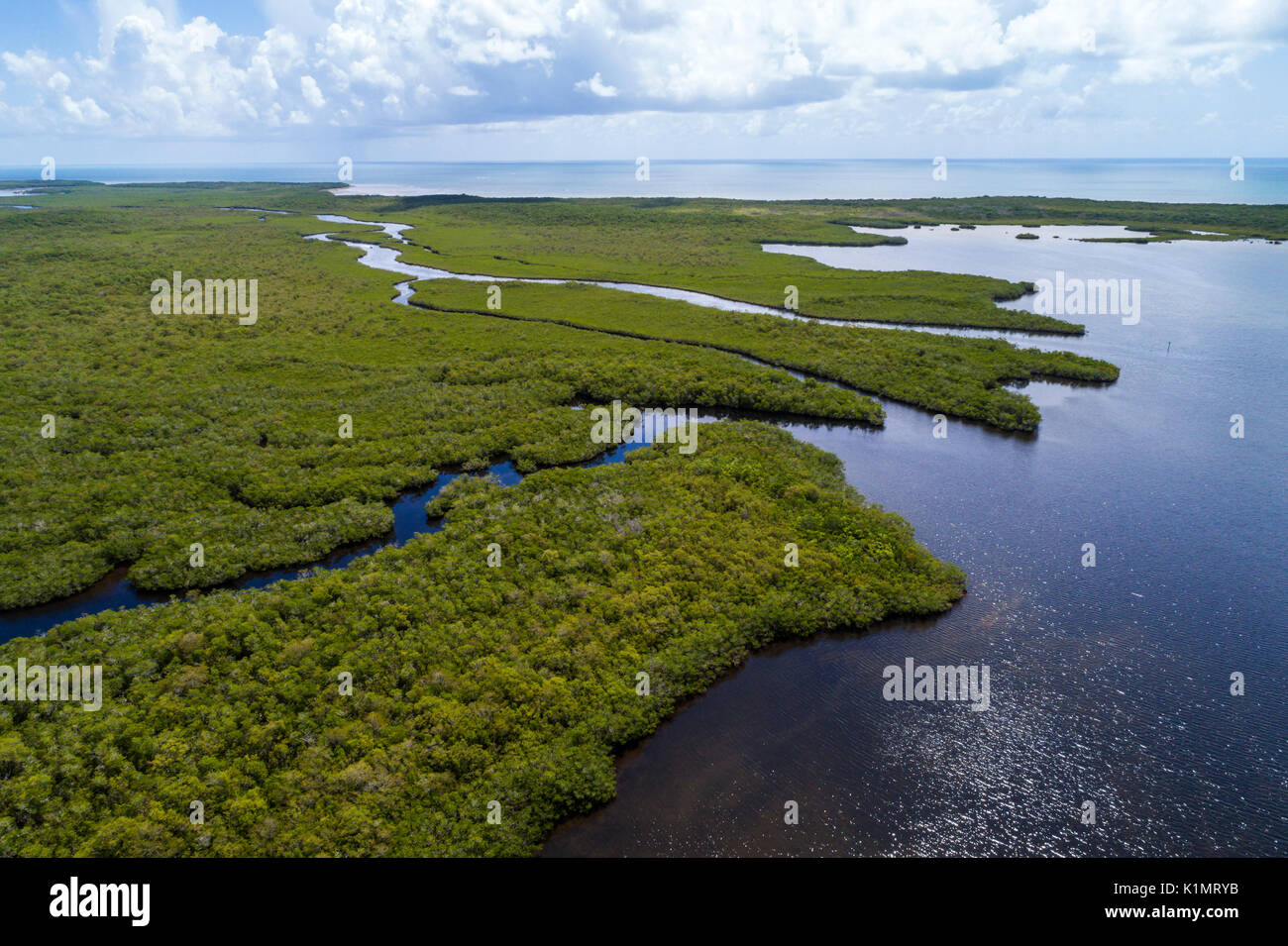 Florida,Florida Keys,Upper,Key Largo,Largo Sound,John Pennekamp Coral ...