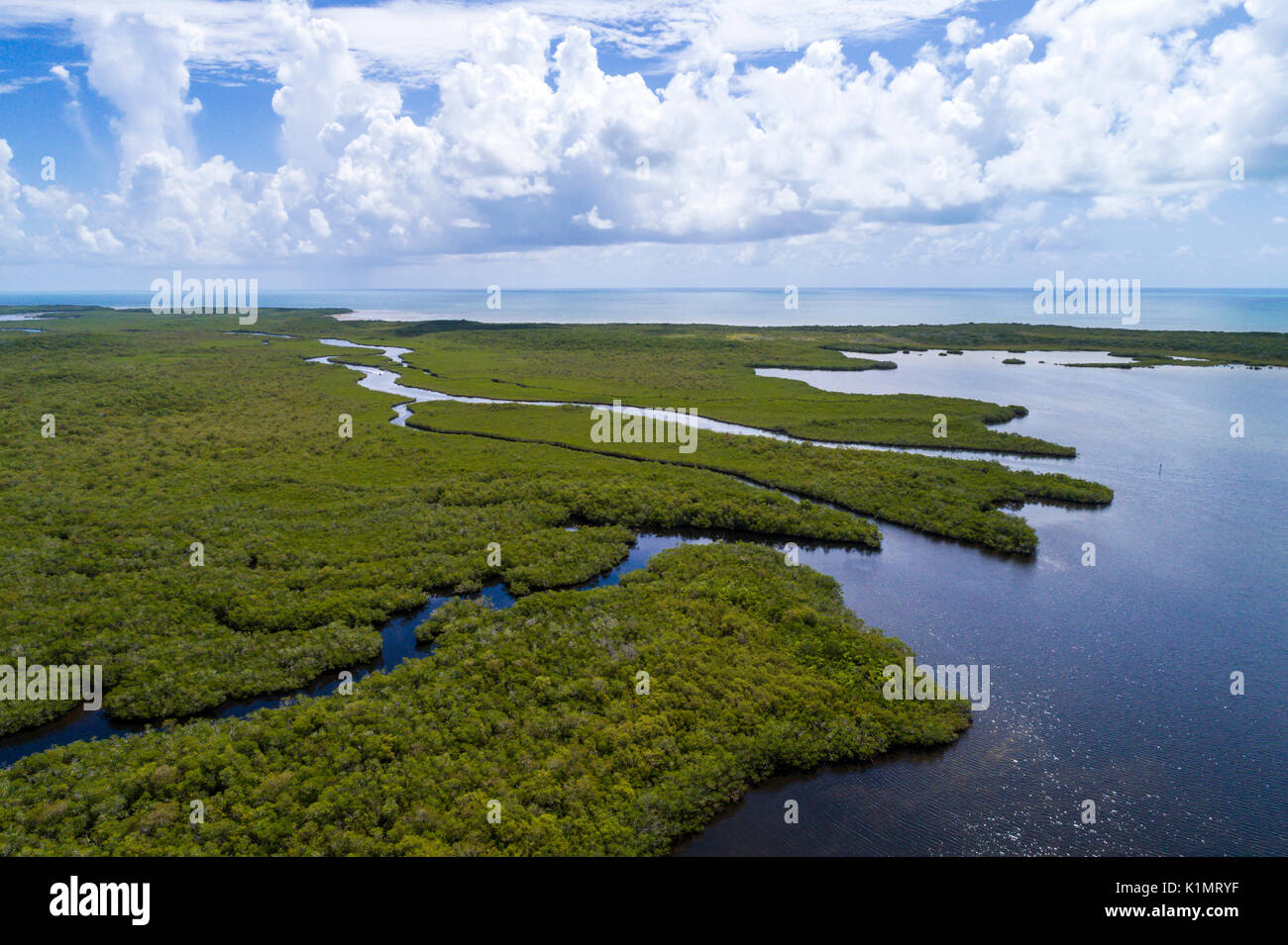 Florida,Florida Keys,Upper,Key Largo,Largo Sound,John Pennekamp Coral ...