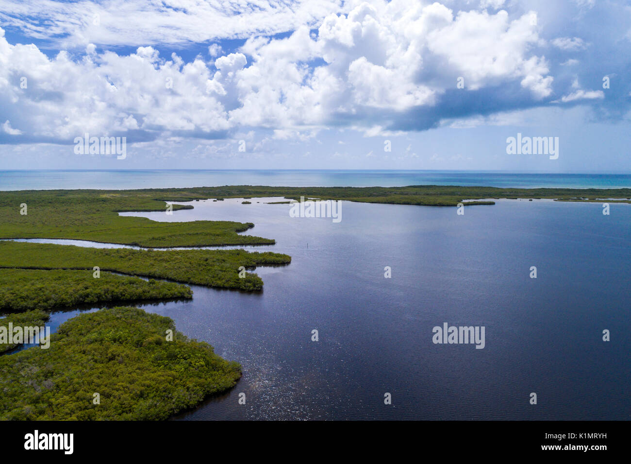 Florida,Florida Keys,Upper,Key Largo,Largo Sound,John Pennekamp Coral ...