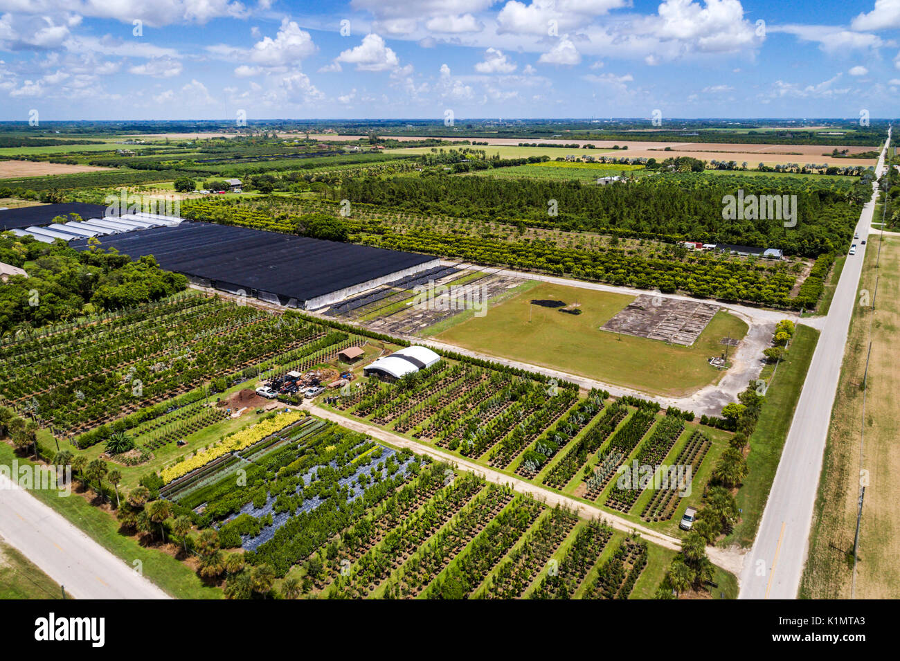 Granjas En Homestead Florida Homestead, FL Small Farms For Sale 15