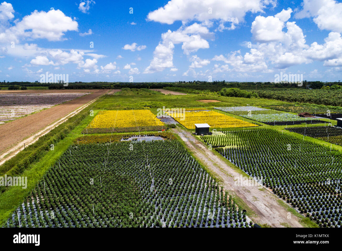 Miami Florida,Homestead,farmland,farm,agriculture,nursery,aerial ...