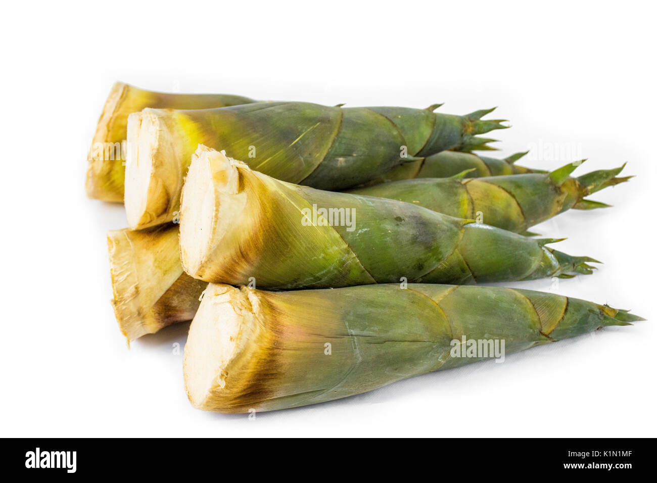 Bamboo shoot Cut Out Stock Images & Pictures - Alamy