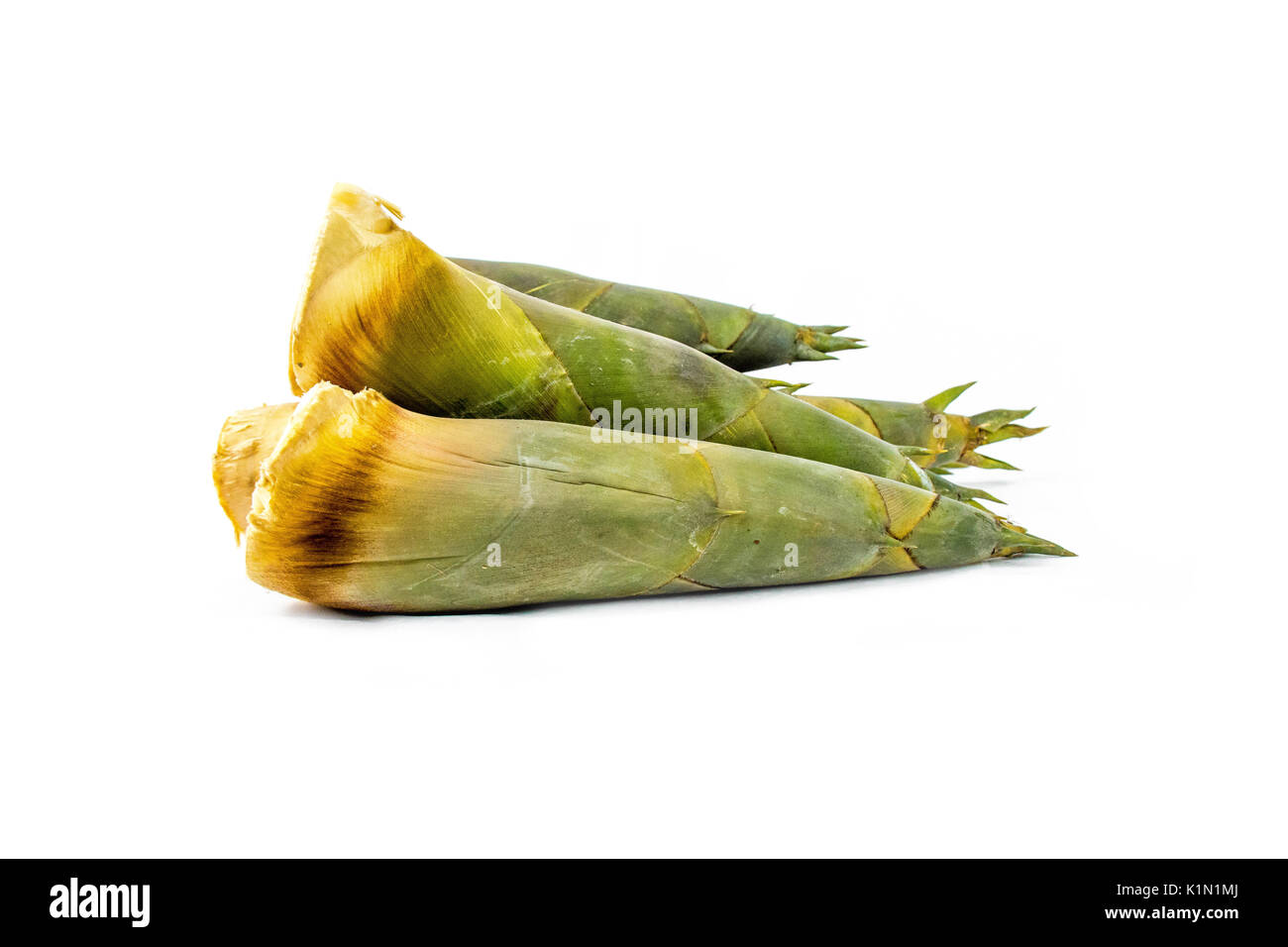 Bamboo shoot Cut Out Stock Images & Pictures - Alamy