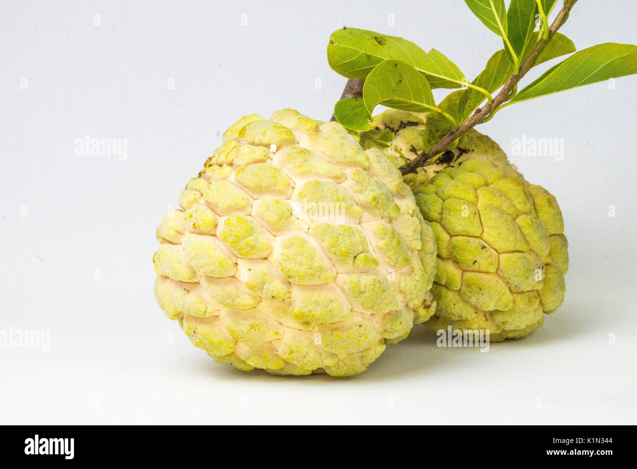 The custard apple Stock Photo - Alamy