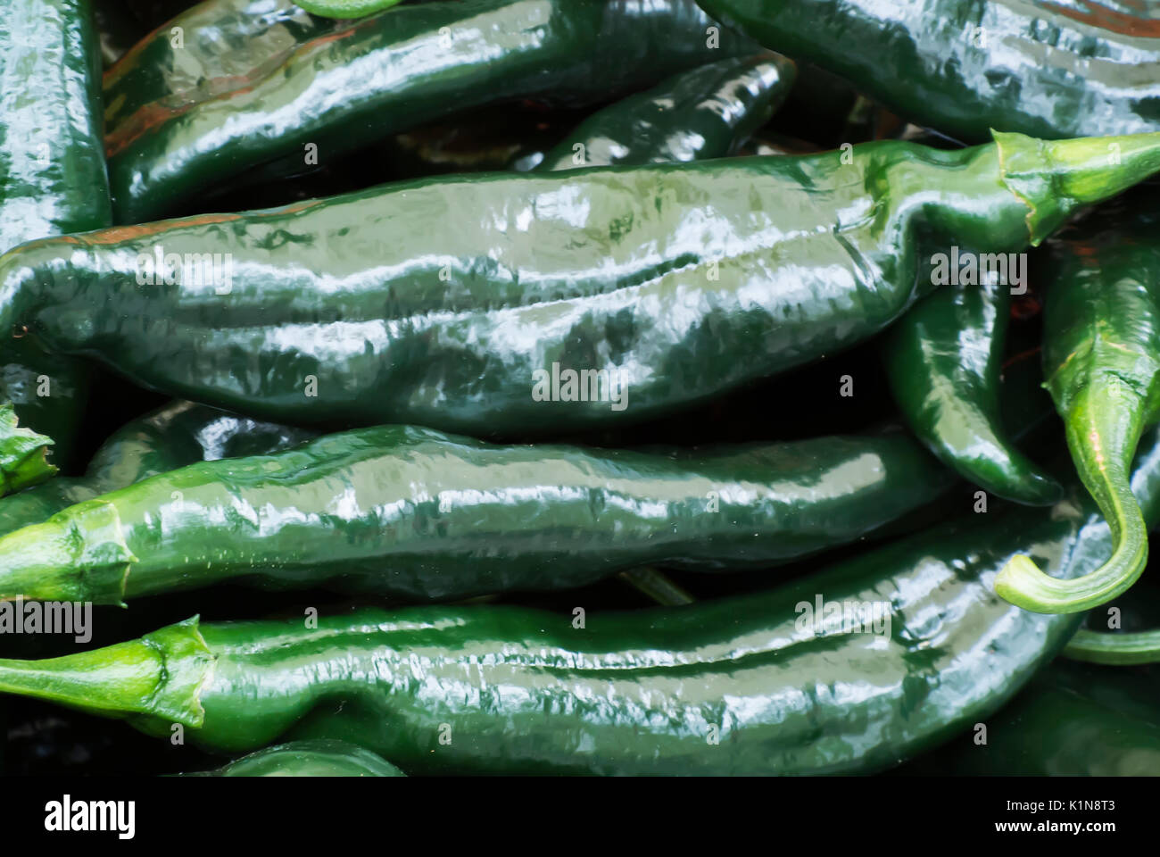 Chile chilaca hi-res stock photography and images - Alamy