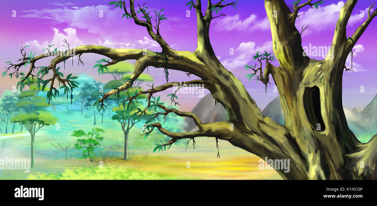 African Tree with Big Hollow against Purple Sky in a African national ...