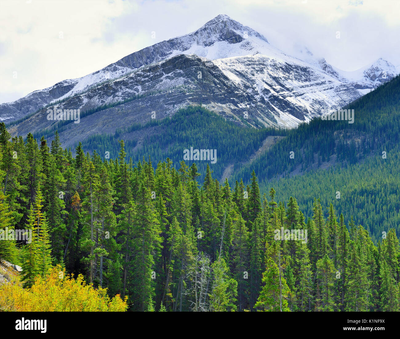 High mountains of the Canadian Rockies along the Icefields Parkway ...
