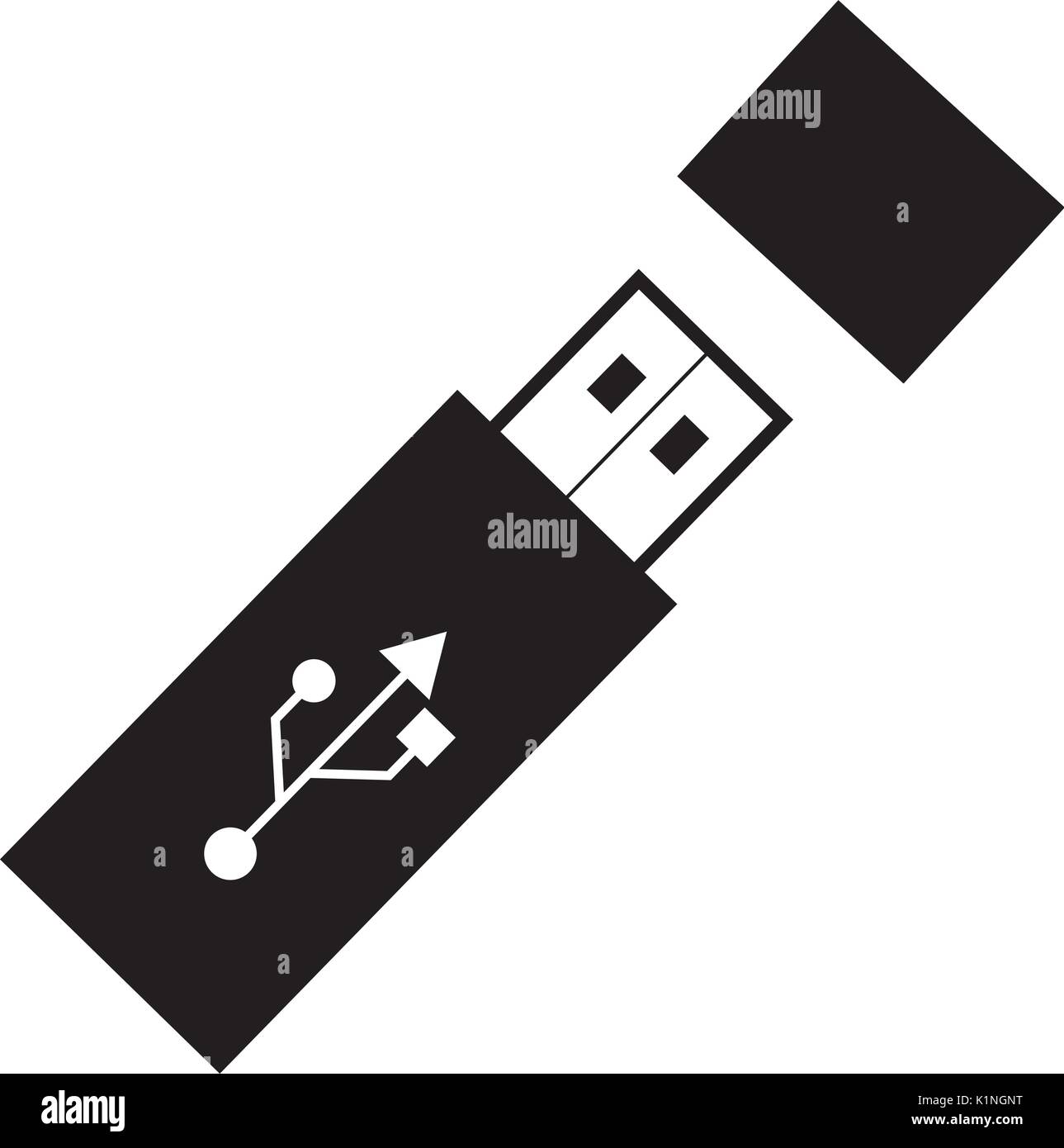 Flash Drive Icon Vector