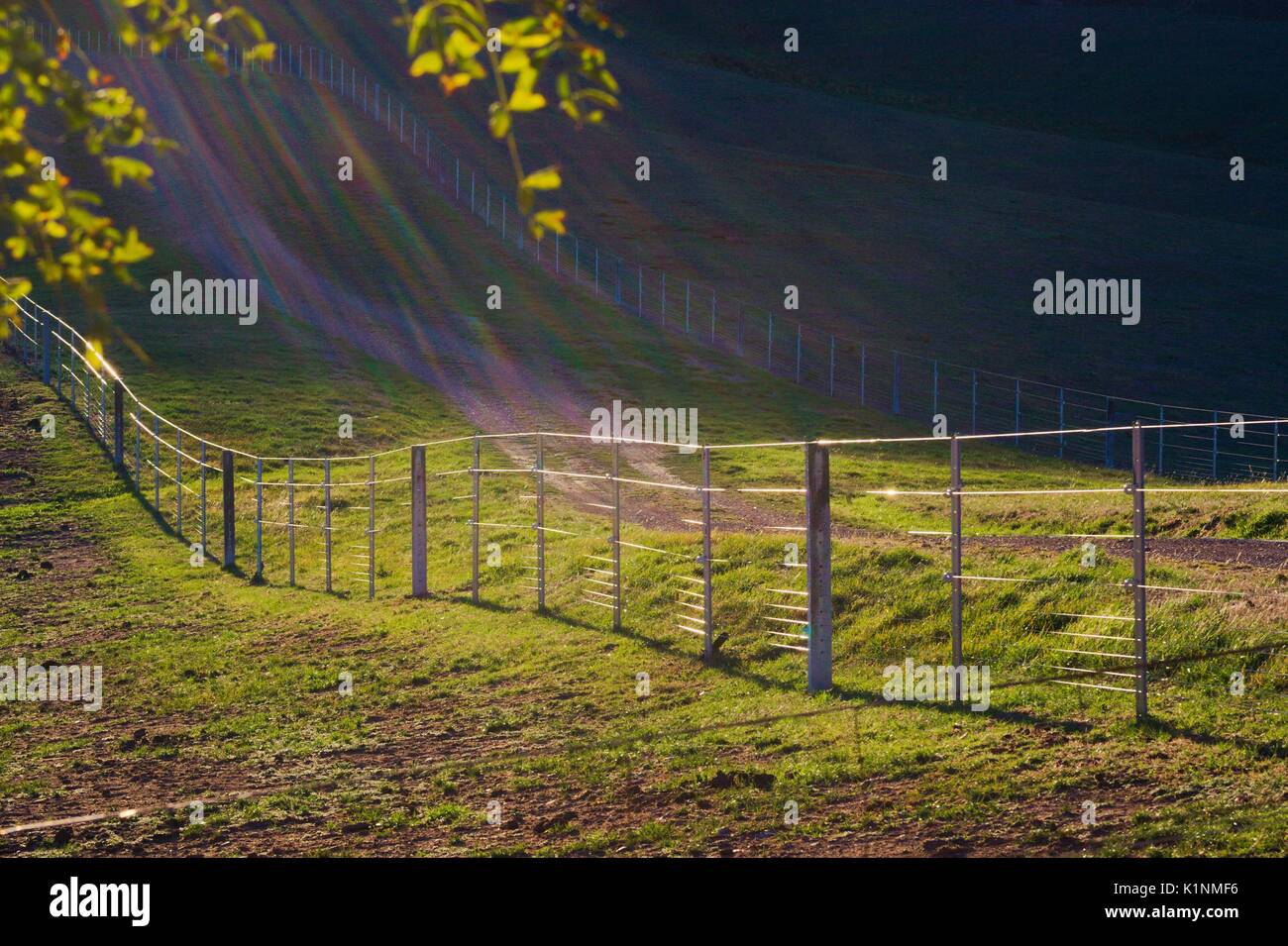 Farm road and fence, highlighted by sun with deep shadows in the back ...