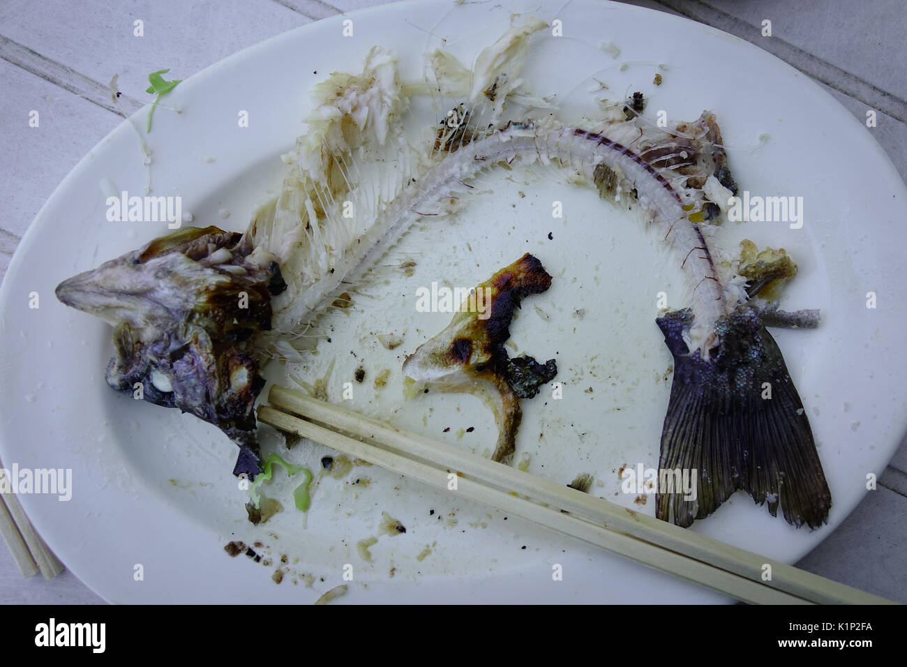 Skeleton of salmon hi-res stock photography and images - Alamy