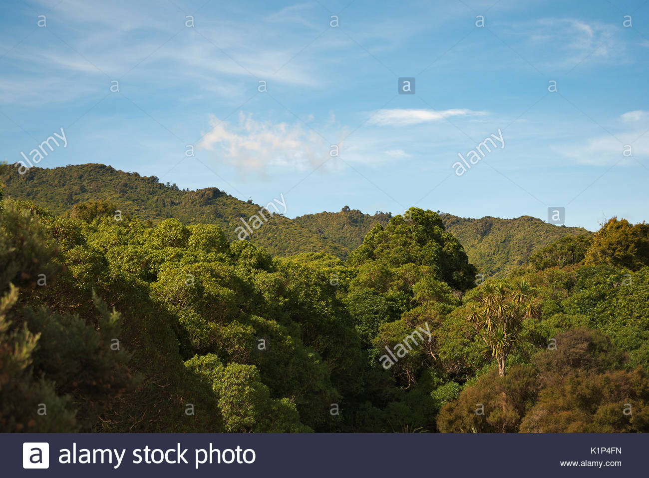 Tararua Stock Photos & Tararua Stock Images - Alamy