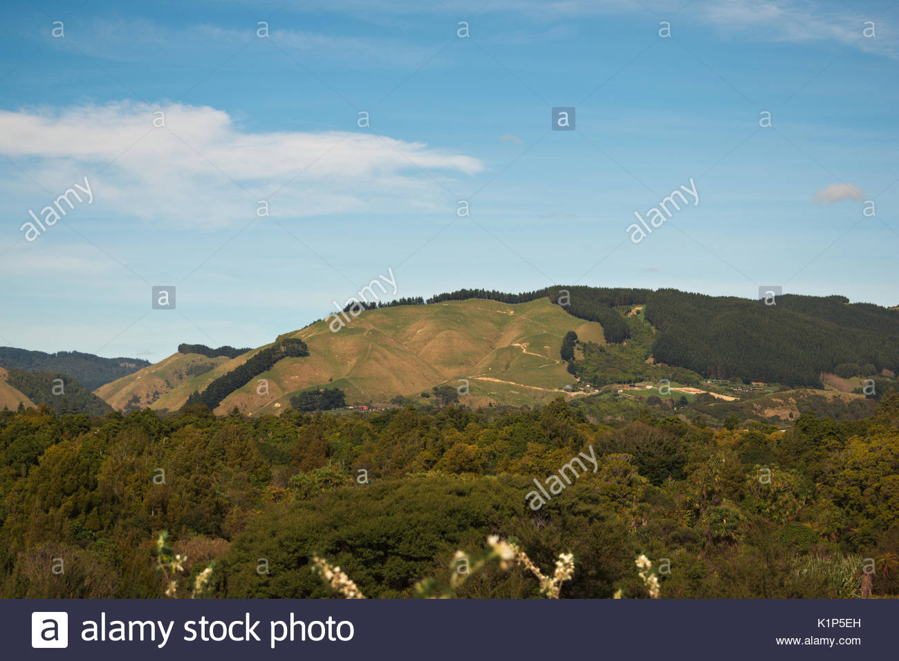 Tararua Stock Photos & Tararua Stock Images - Alamy