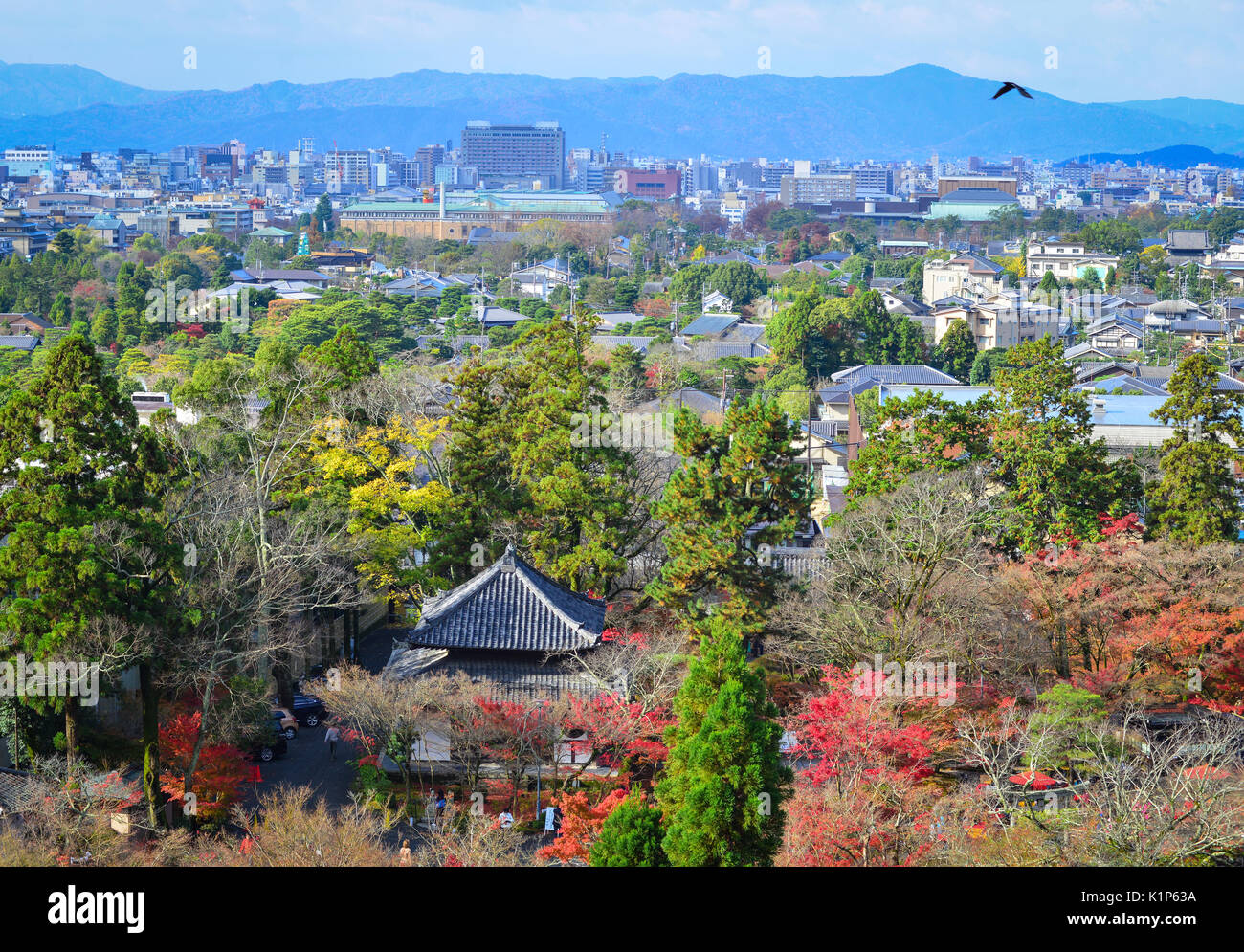 Mountain scene with many building at autumn in Kyoto, Japan. View from ...