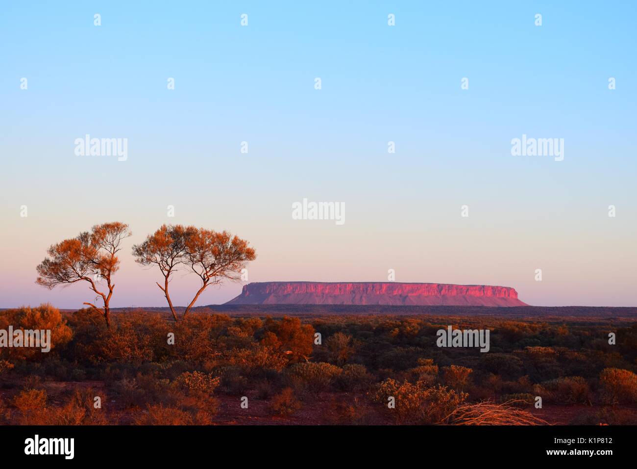 Mount Conner, Outback Australia Stock Photo - Alamy