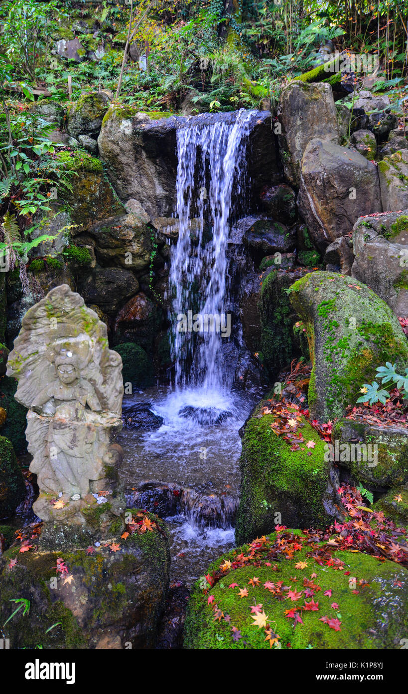Small waterfall at the autumn forest in Kyoto, Japan Stock Photo - Alamy