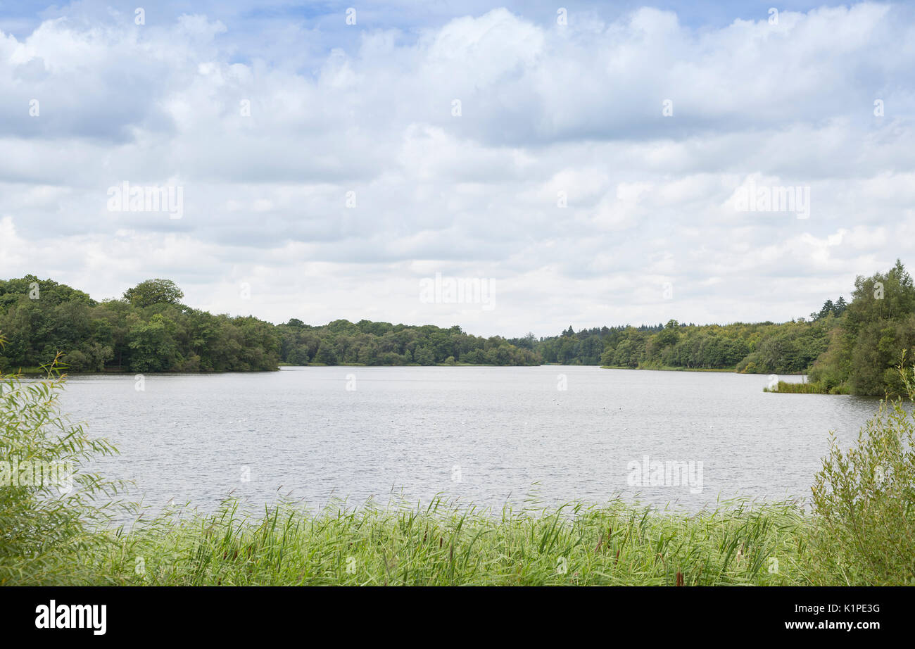 Virginia water berkshire hi-res stock photography and images - Alamy