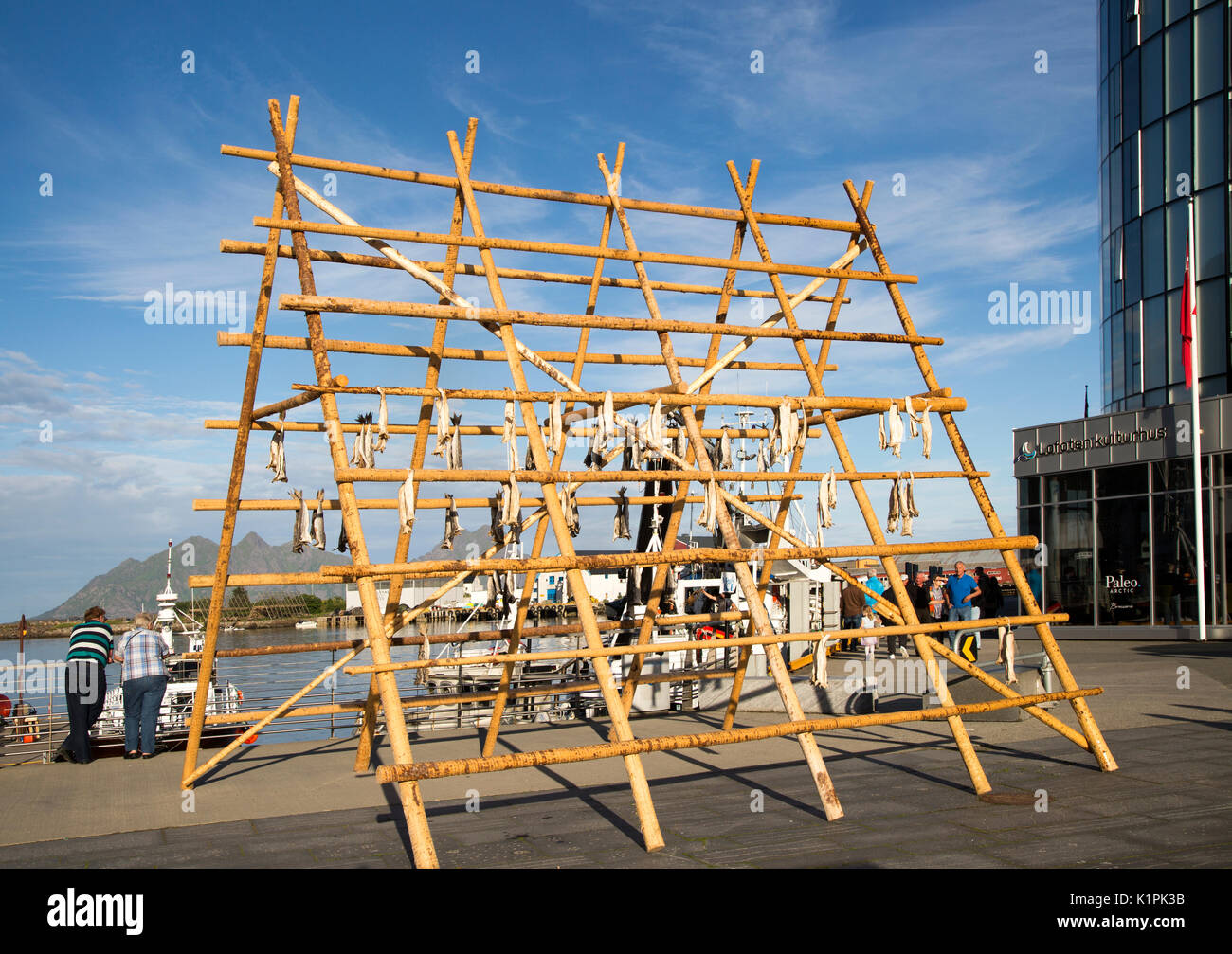 Cod fish drying outside on wooden pole, Svolvaer, Lofoten Islands ...