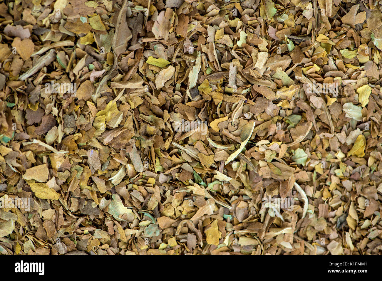 Raw tobacco hi-res stock photography and images - Alamy