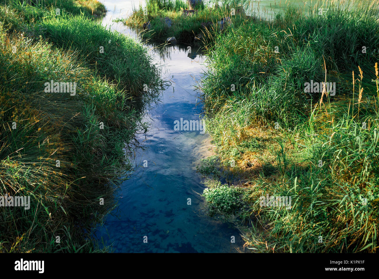 green switzerland landscape by the river Stock Photo - Alamy