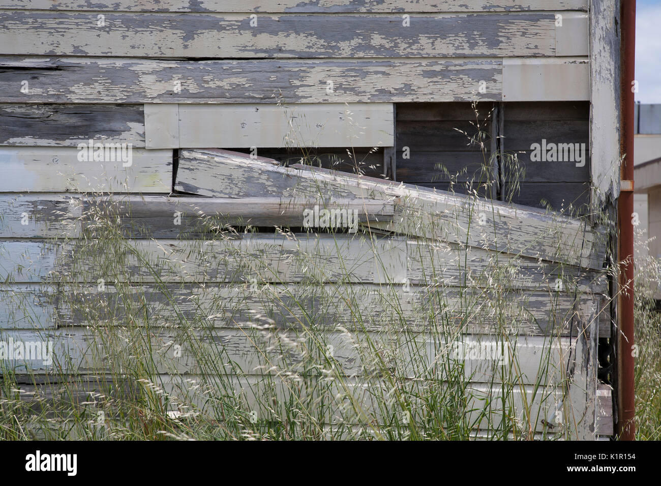Grass growing in front of run down wooden building Stock Photo - Alamy