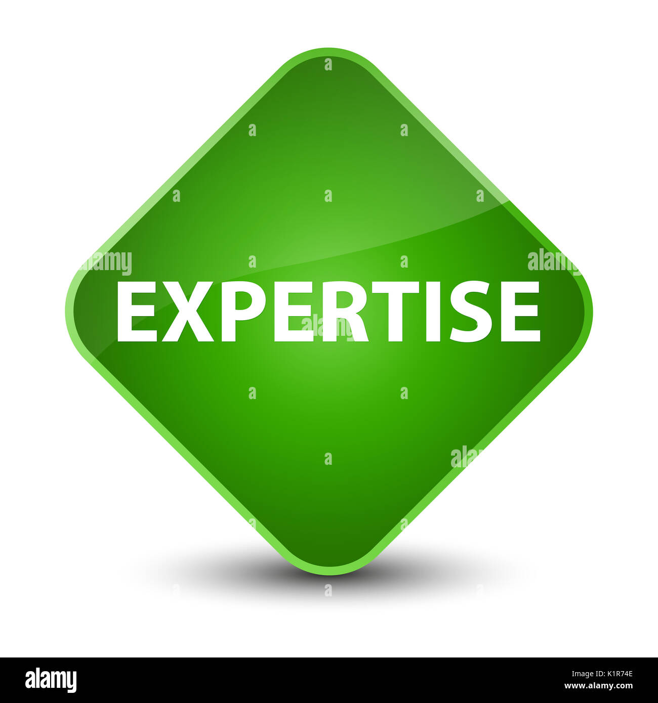 Expertise isolated on elegant green diamond button abstract ...