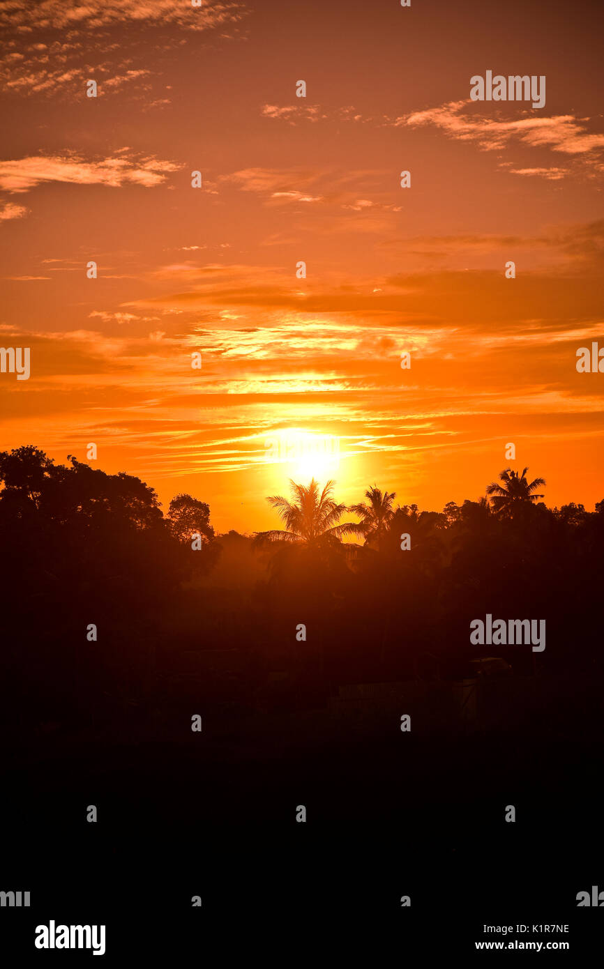 Sunset seen in the field city of Bogor, Indonesia Stock Photo - Alamy