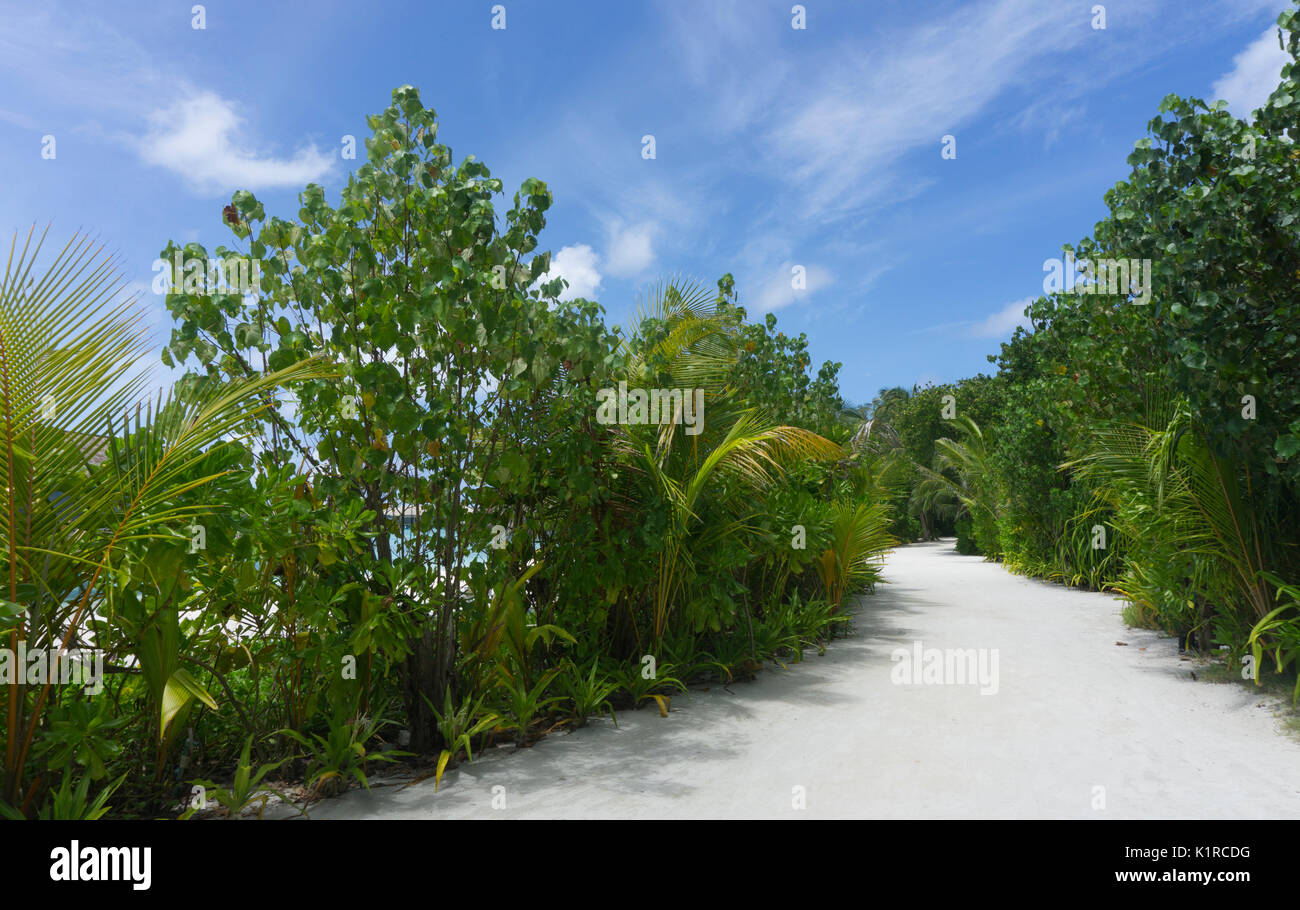 Sand pathway hi-res stock photography and images - Alamy