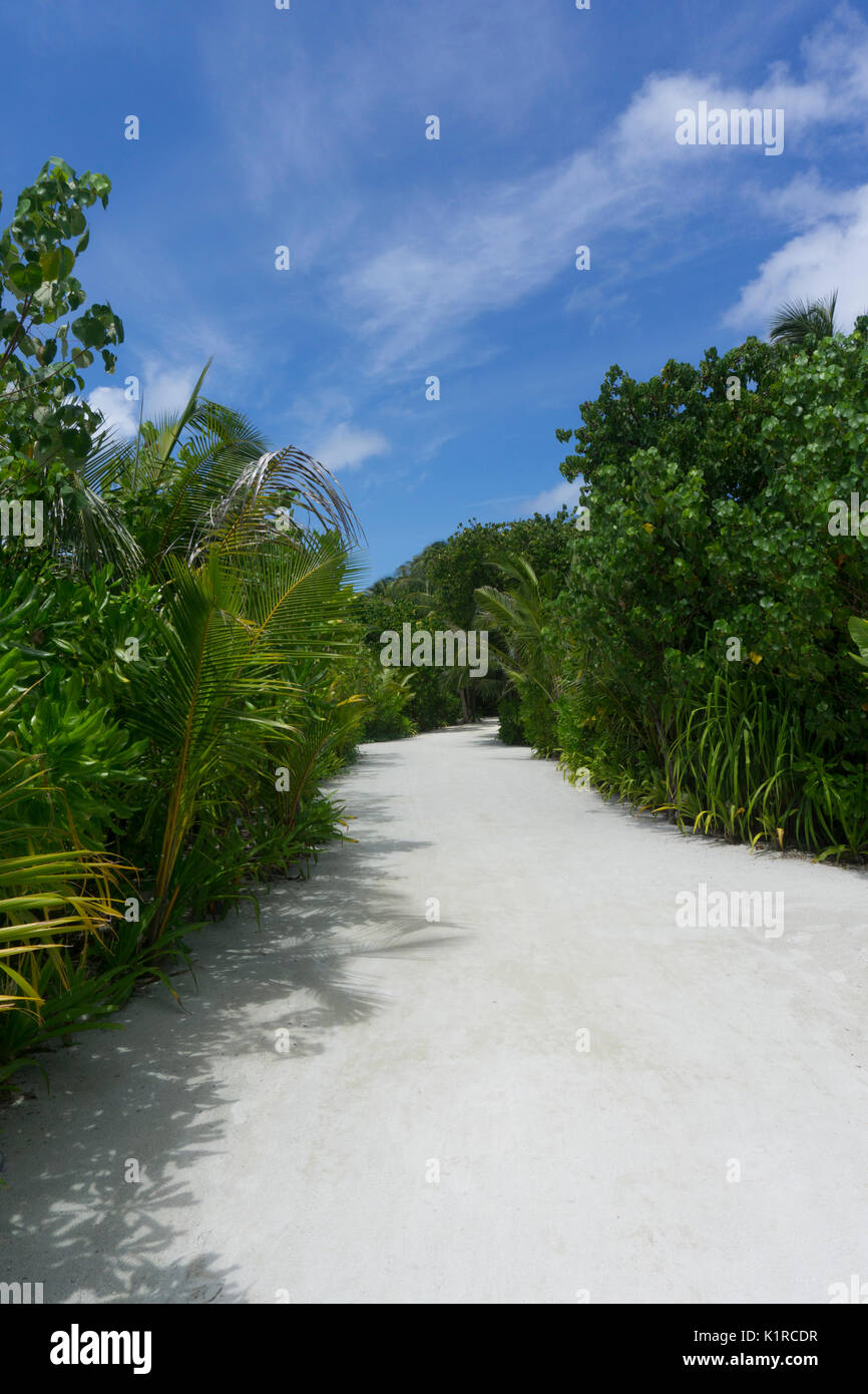 Sand pathway hi-res stock photography and images - Alamy