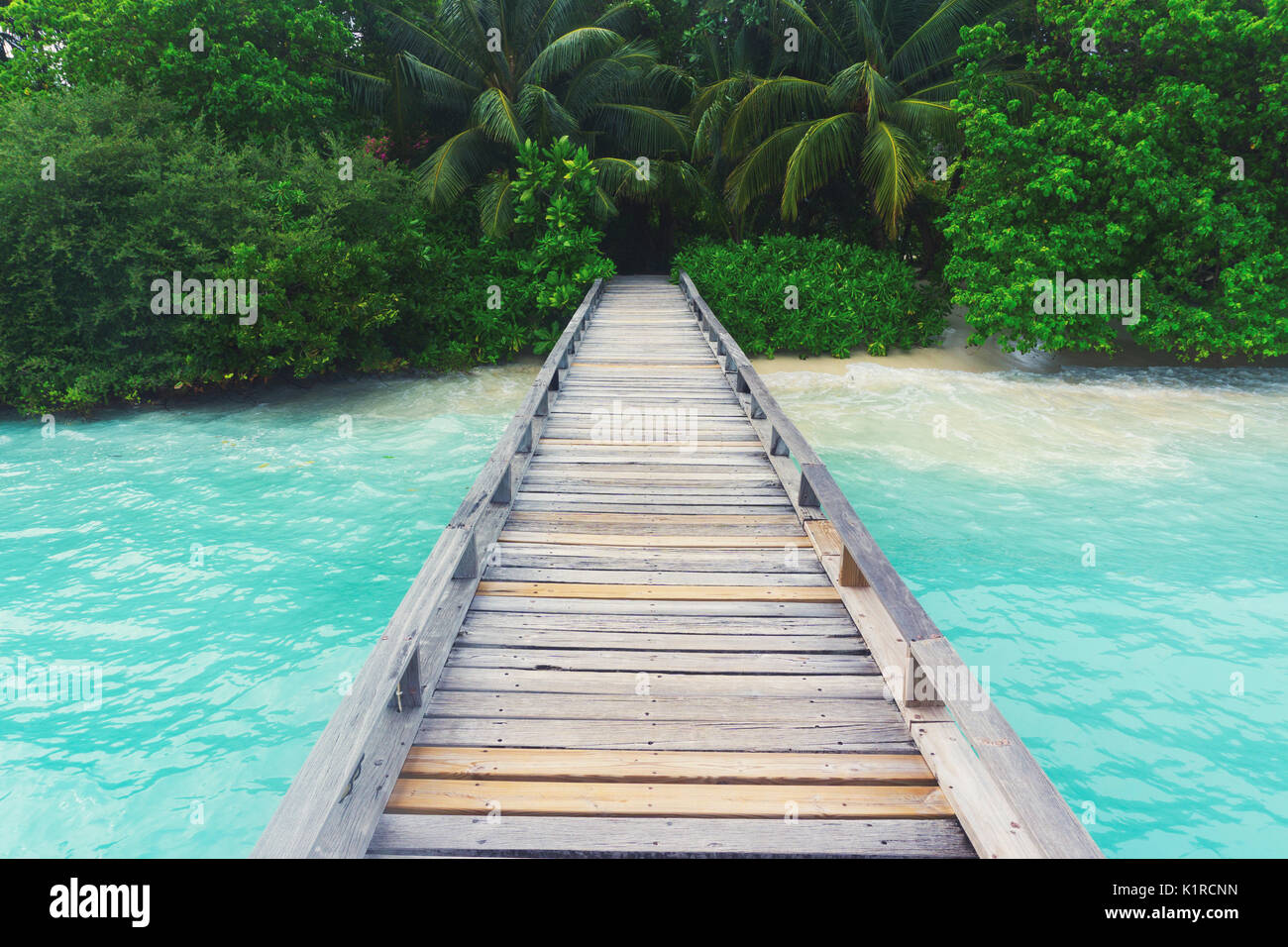 Wooden pier leading into a tropical forest Stock Photo - Alamy